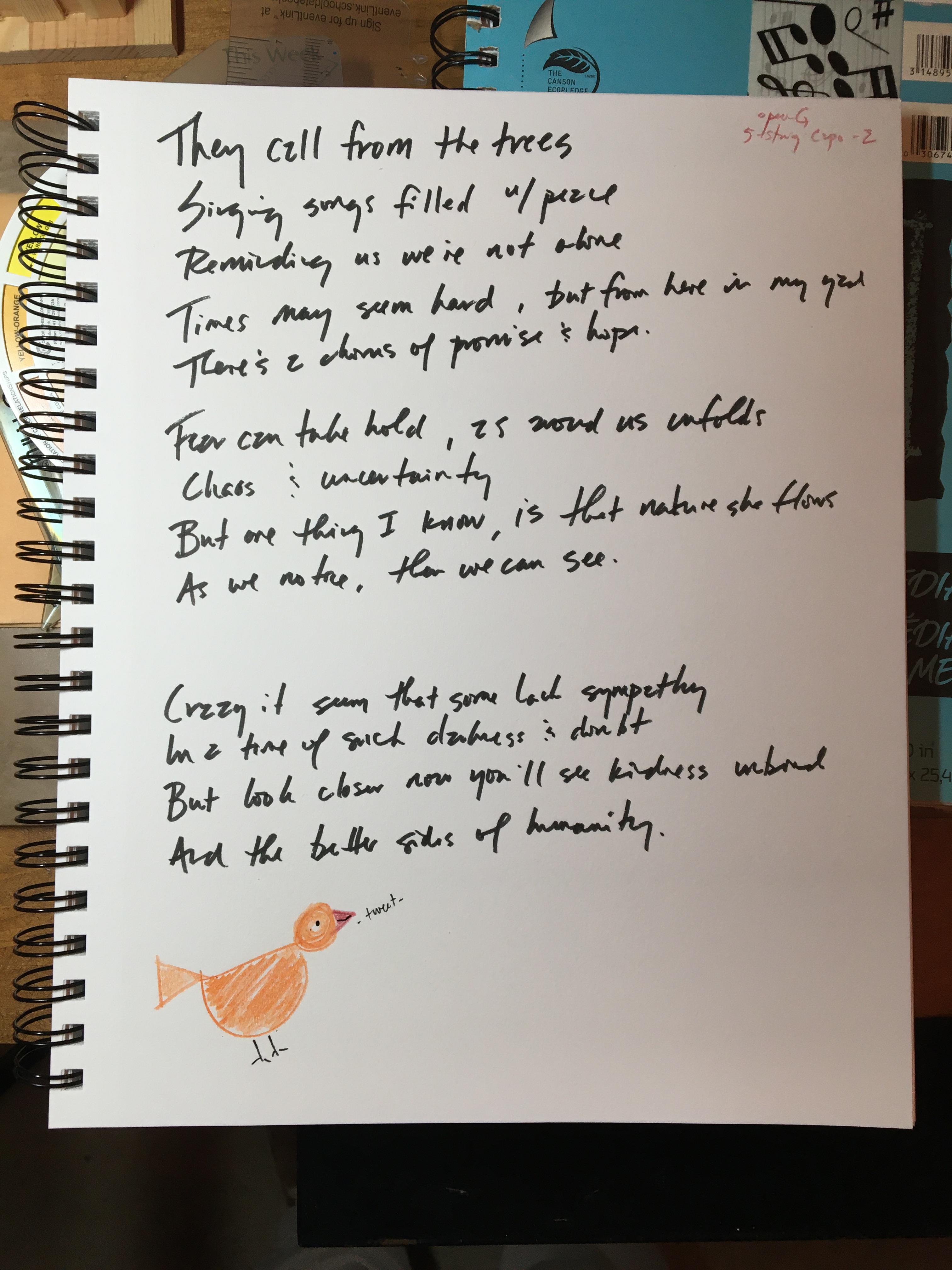 Chorus of Hope | A Librarian by Any Other Name